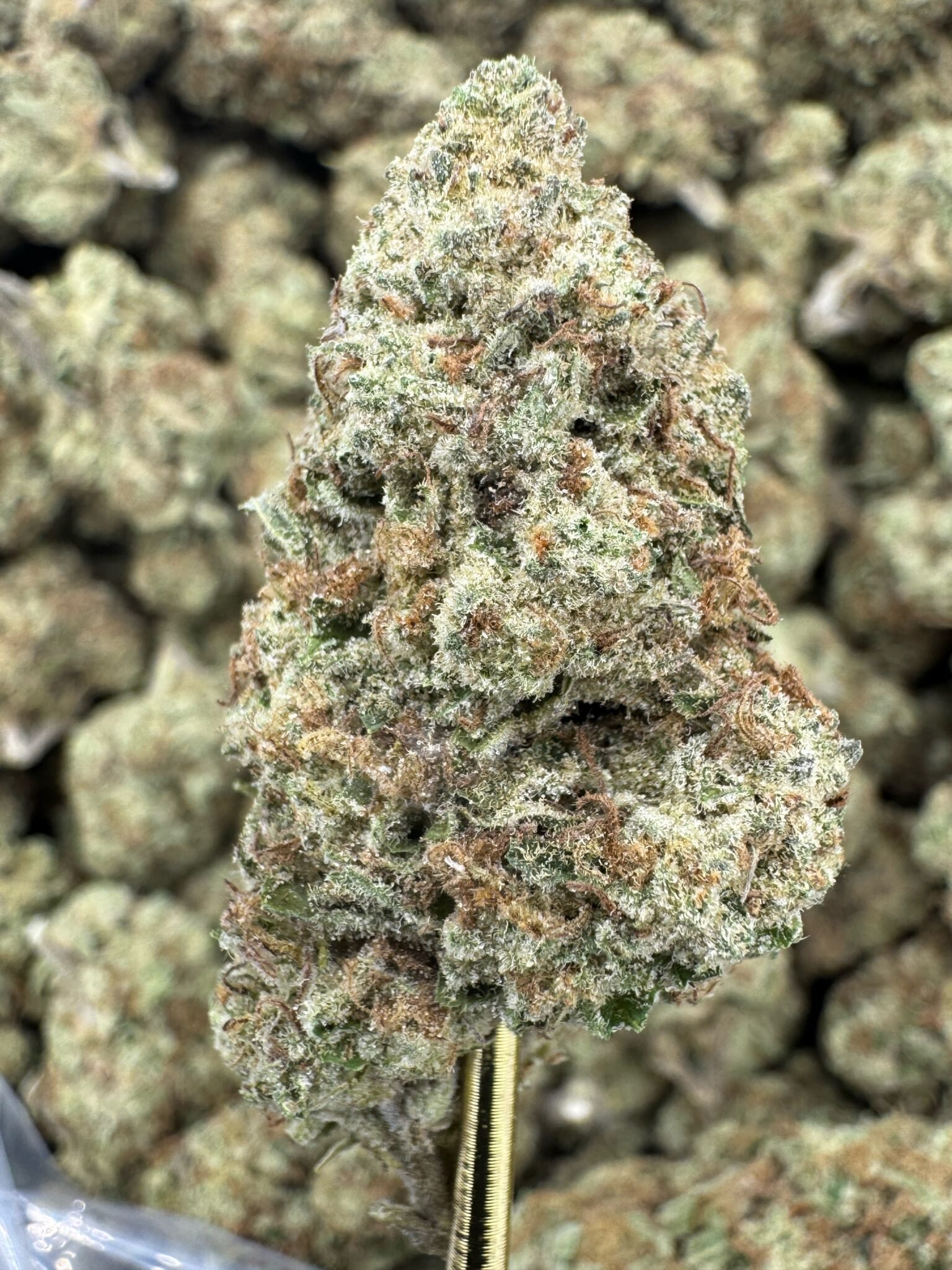 Blueberry Muffin Bulk THCA Flower – 28% THCA Wholesale