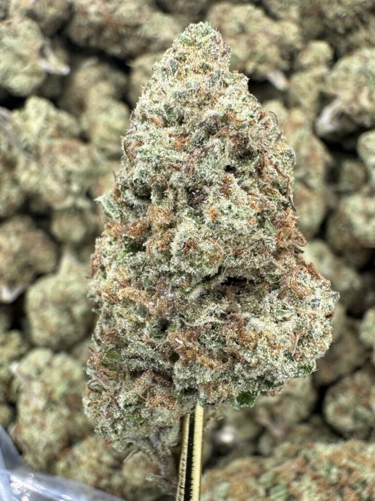 Blueberry Muffin Bulk THCA Flower – 28% THCA Wholesale